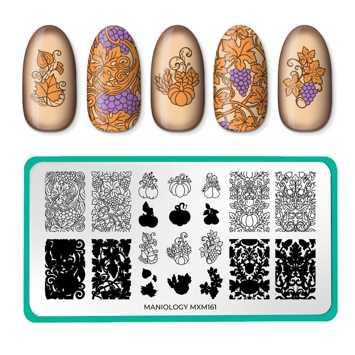 Golden Harvest: Harvest Flourish (MXM161) - Nail Stamping Plate – Maniology