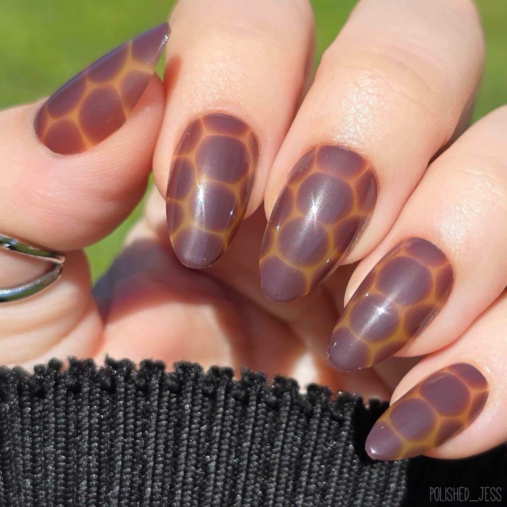 Amber Shell Press On Nails - Short Almond – Maniology