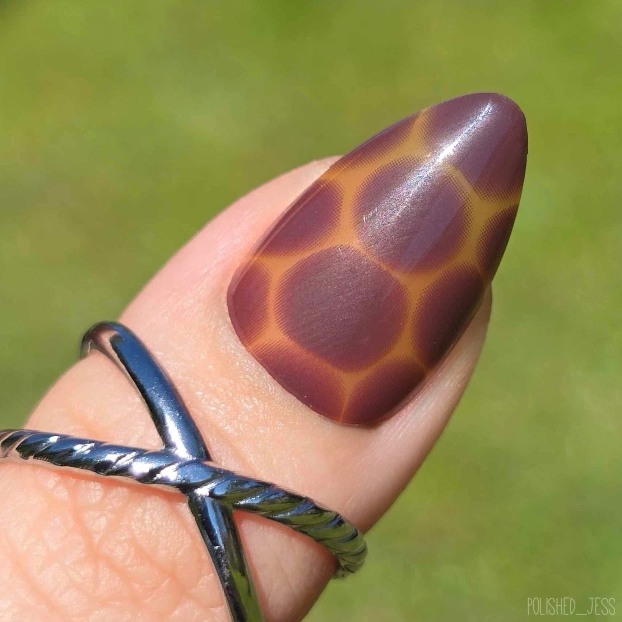 Amber Shell Press On Nails - Short Almond – Maniology