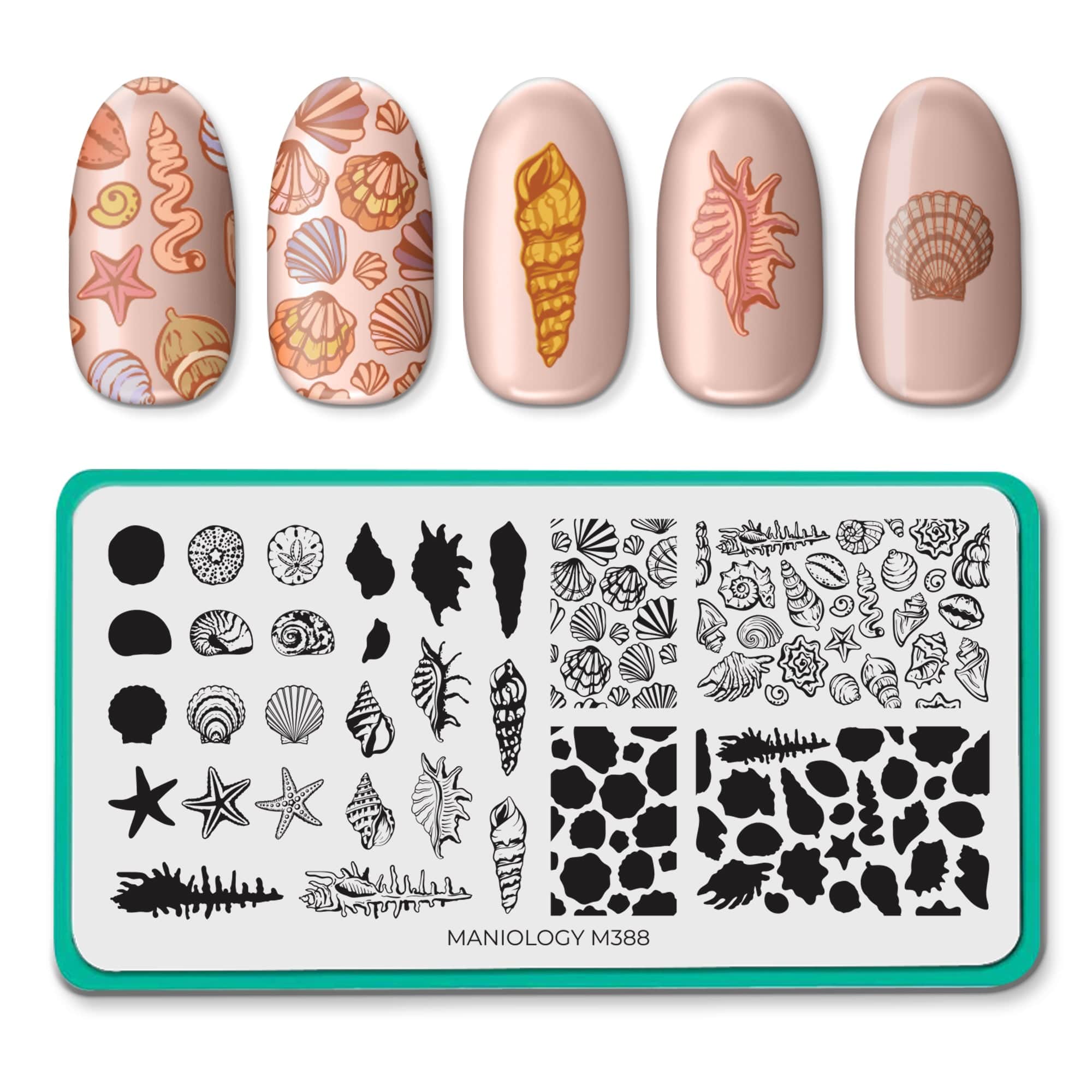Shell Yeah! (M388) - Nail Stamping Plate – Maniology