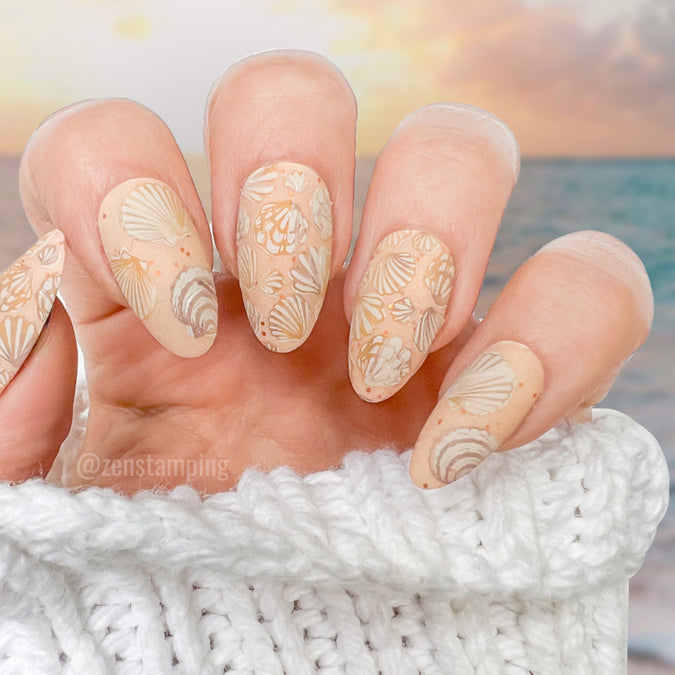 Shell Yeah! (M388) - Nail Stamping Plate – Maniology