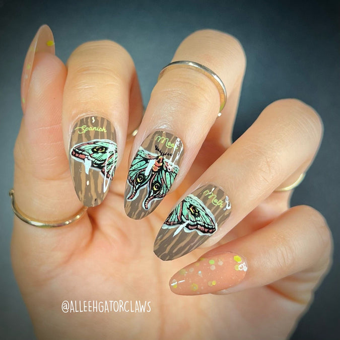 Winged Creatures Nail Stamping Plate | Maniology