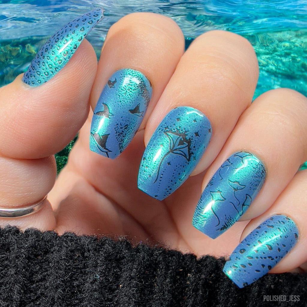 Winged Voyagers (M508) - Nail Stamping Plate – Maniology