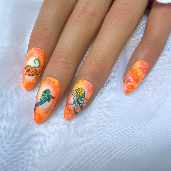 Winged Voyagers (M508) - Nail Stamping Plate – Maniology