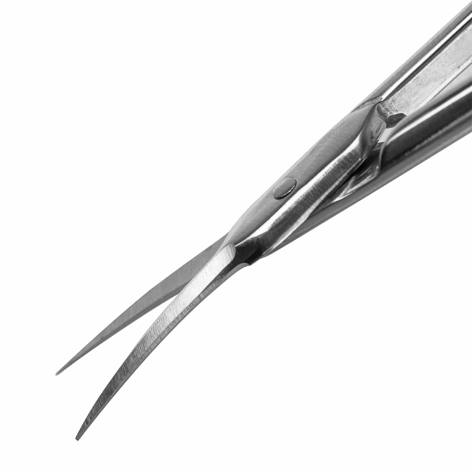 Extra Fine Curved Blade Stainless Steel Nail Art Scissors – Maniology